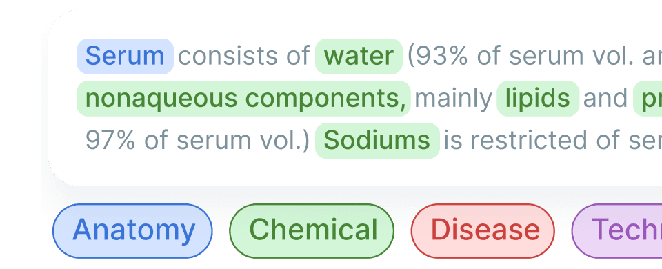 Cactus AI Solutions Playground